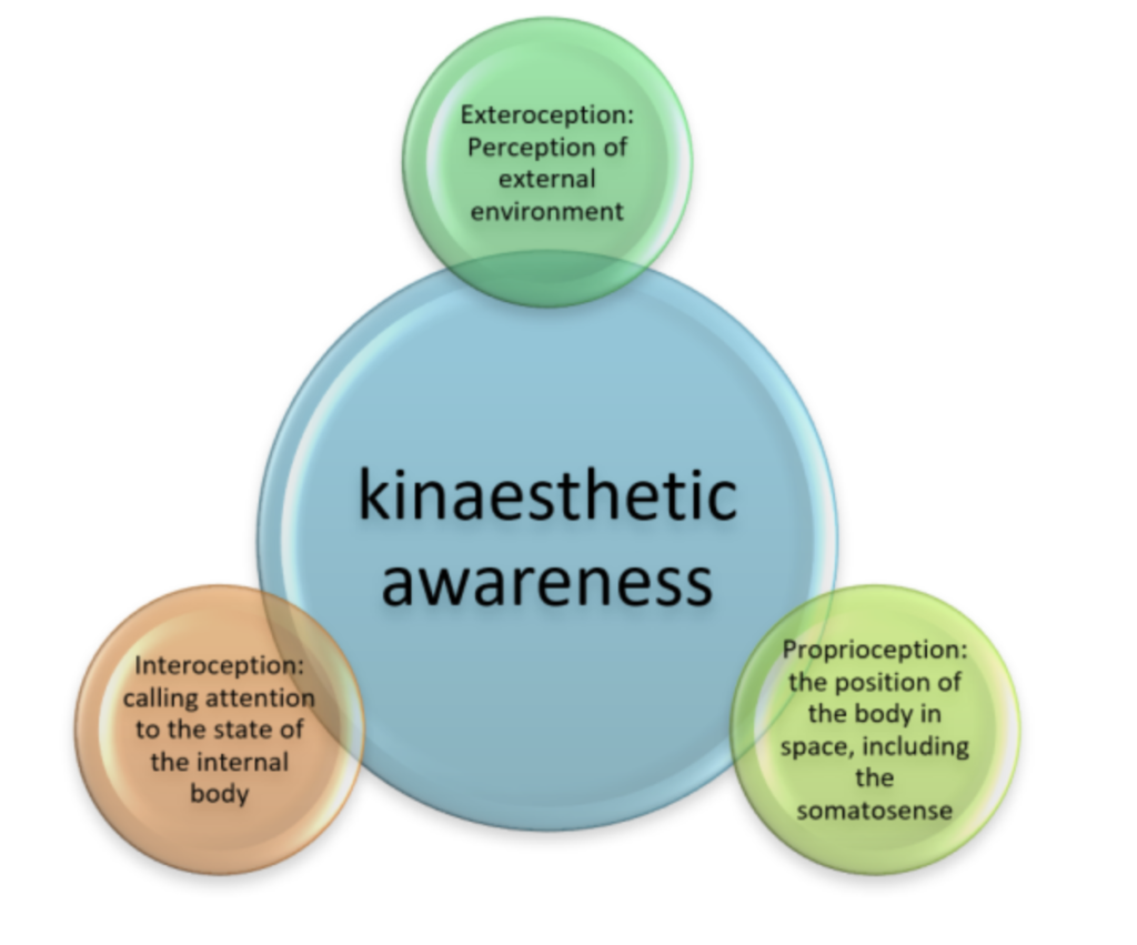 Defining and Increasing Kinesthetic Awareness - DEUCE Gym